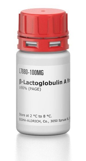 ß-Lactoglobulin A from bovine milk 25 mg Sigma-Aldrich - Levanchimica